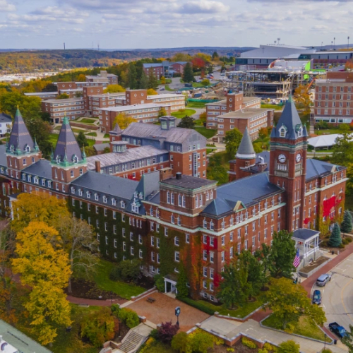 Van Gogh Exhibition: The Immersive Experience